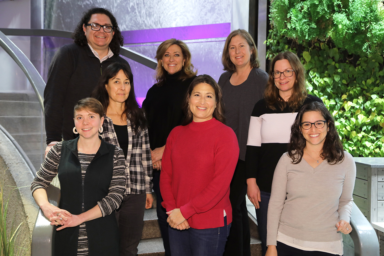 Introducing the 2020 Public Interest Technology Community Innovation ...